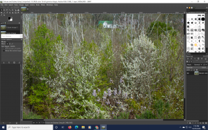 Gimp Layers Tutorial: How to Use Gimp Layers to Expand Creativity